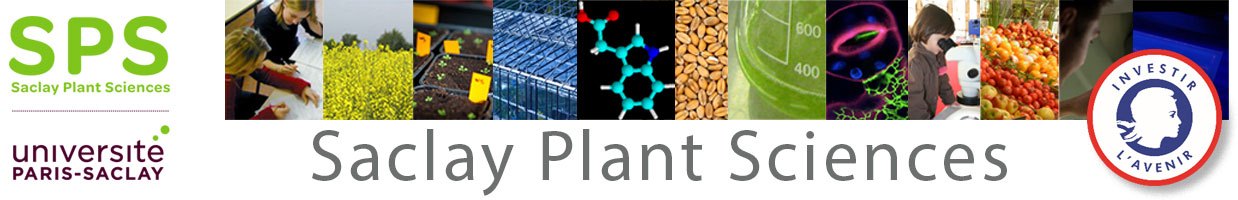 SPS Summer School 2022 Plant cell walls – Southern African Society for ...